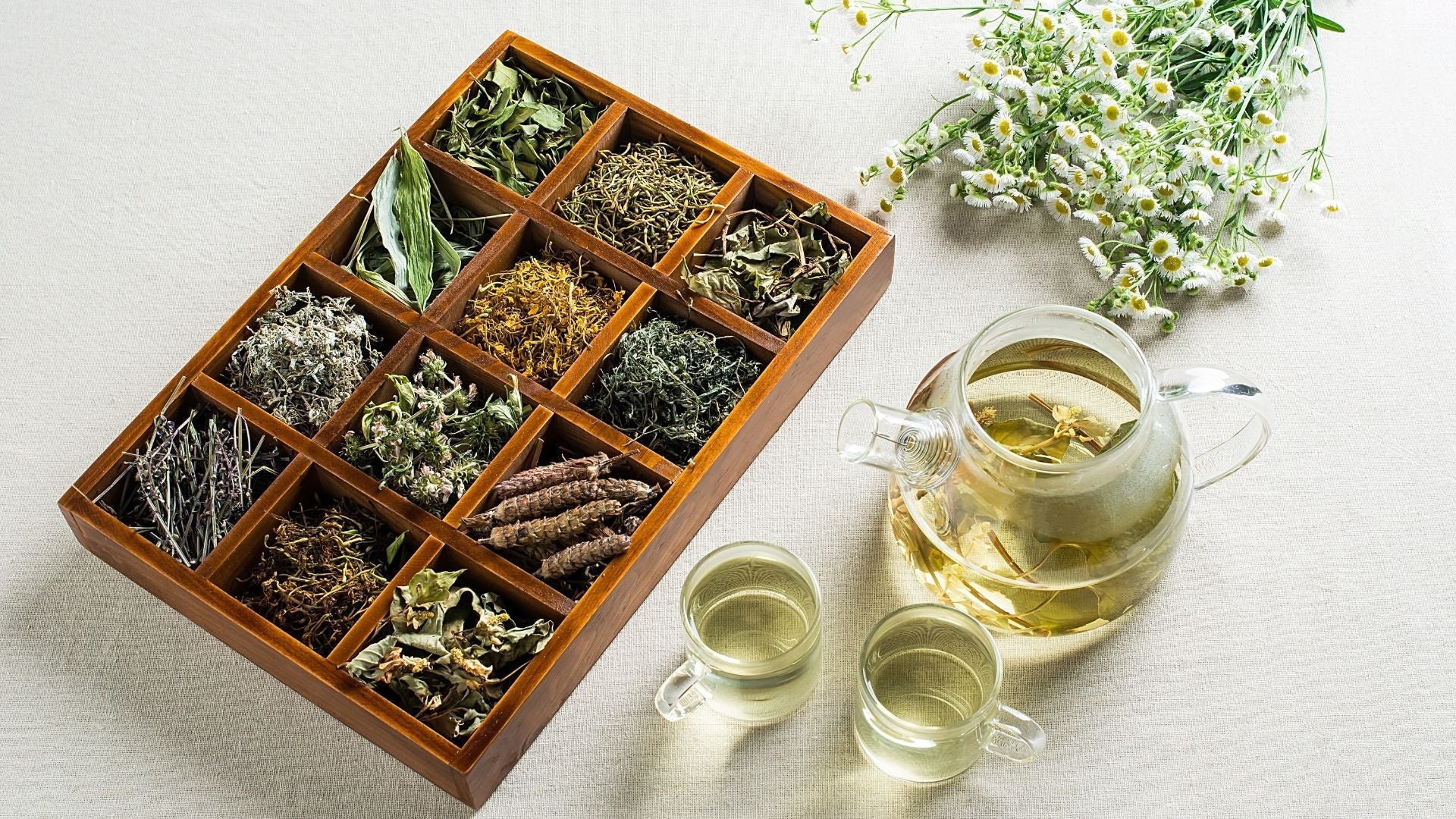 Benefits of Herbal Tea or Pravek T for the Body and Mind