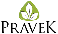 Pravek Anae: Ayurvedic Solution for Anemia & Digestion